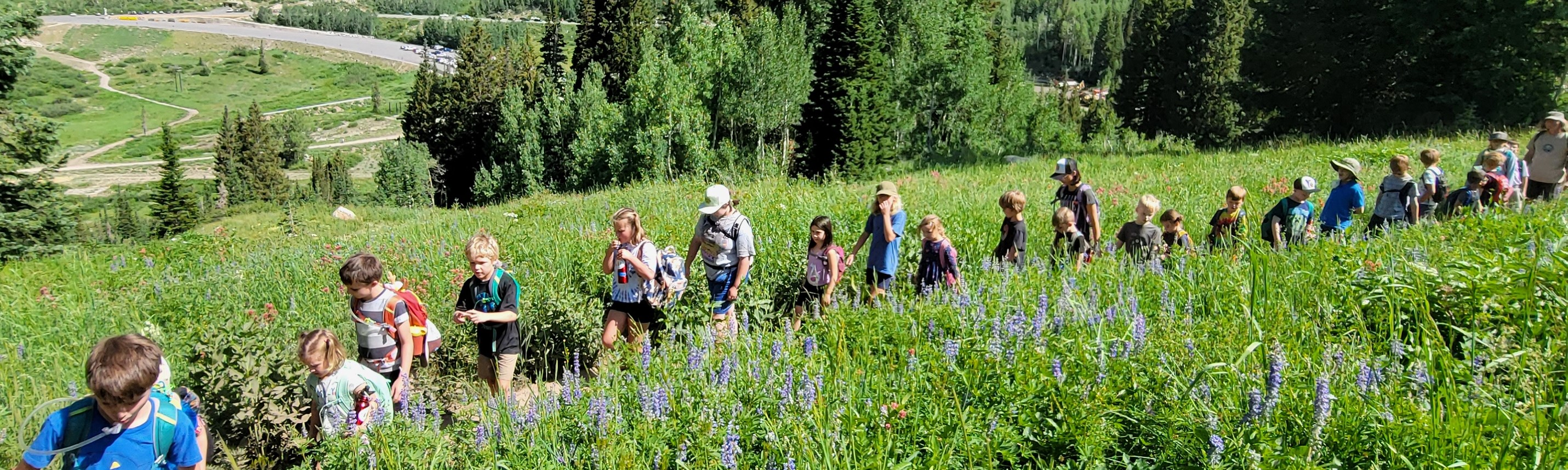 Alta Summer Camp - Select Your Camp